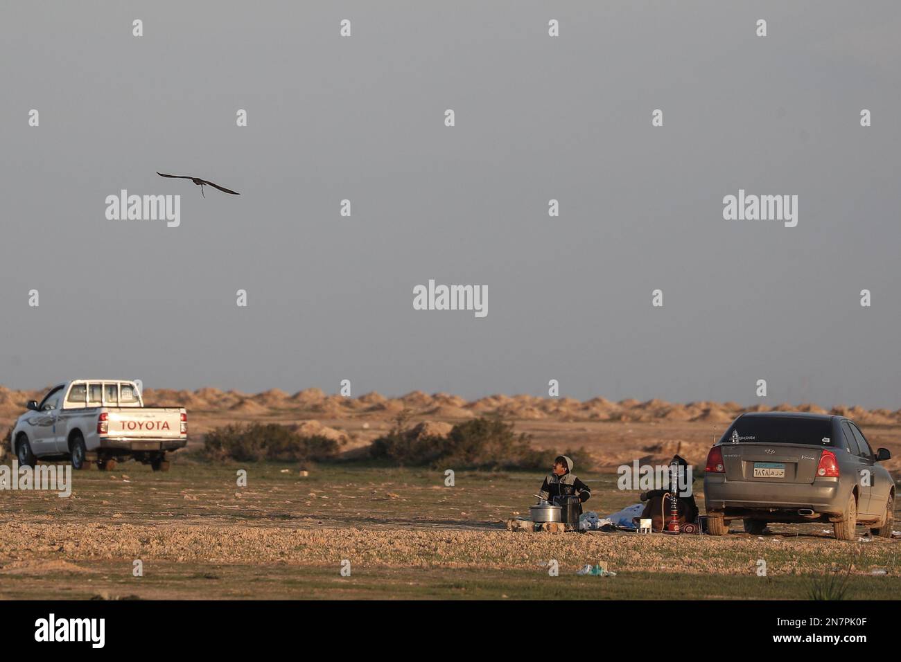 Ancient egypt falcon hunting hi-res stock photography and images - Alamy
