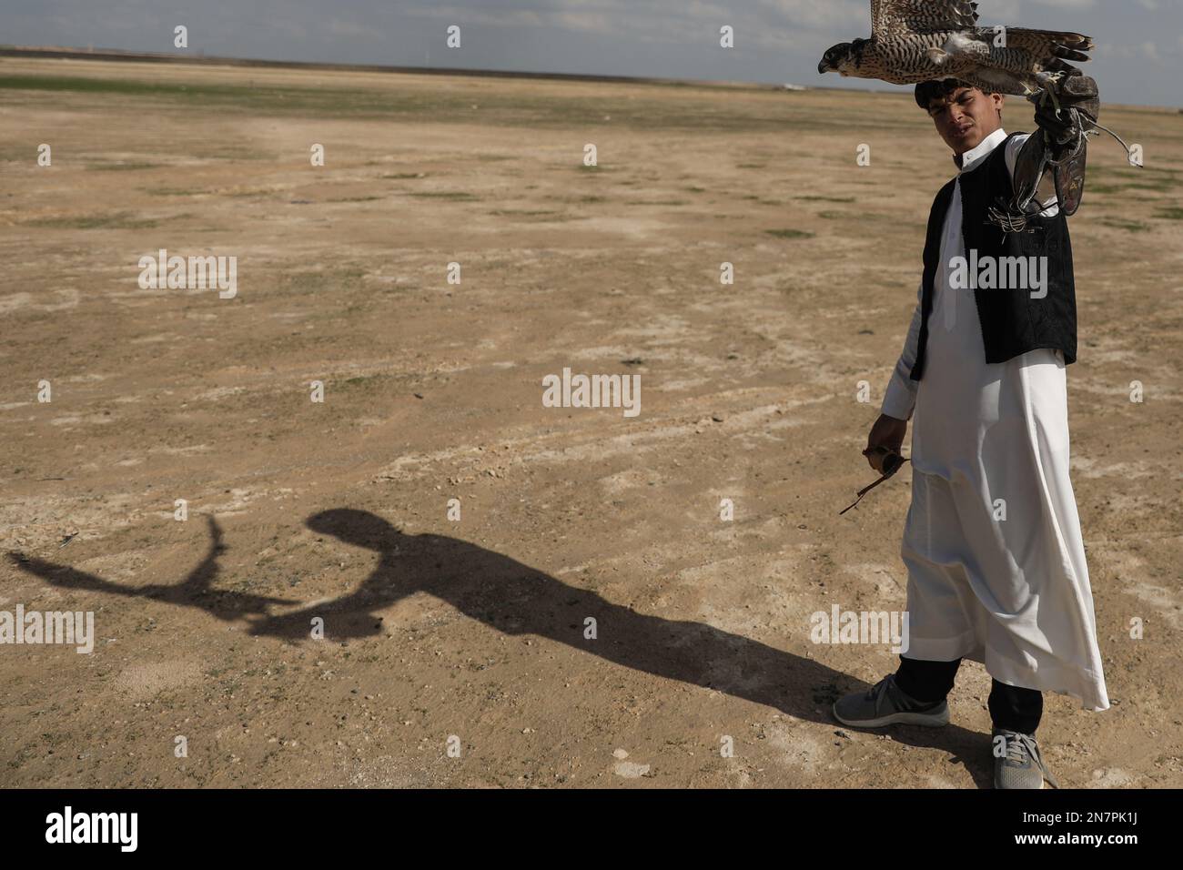Borg El Arab, Egypt. 10th Feb, 2023. A Bedouin young man holds his bird ...