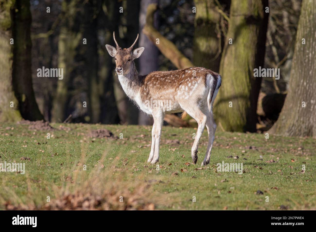 Facing sideways hi-res stock photography and images - Alamy