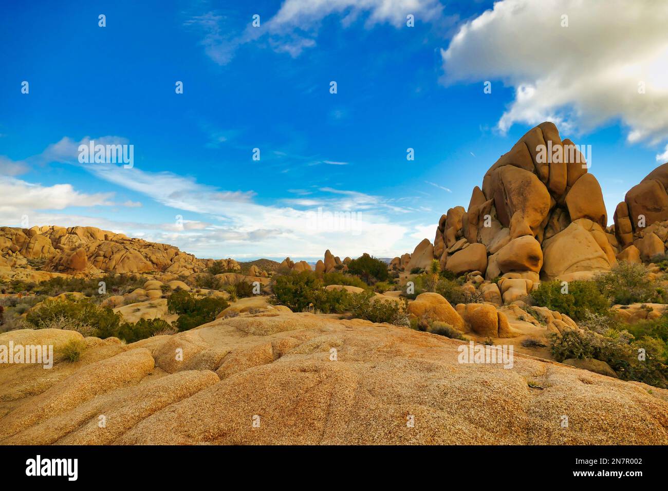 Desert landscape with eroded granite in the vicinity of Jumbo Rock ...