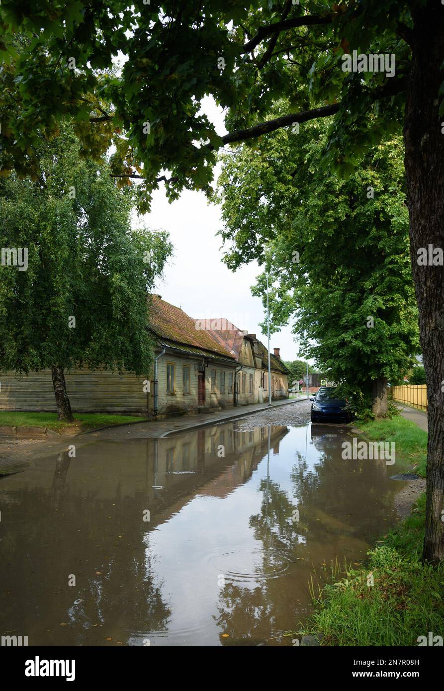 Trees in a small downtown environment hi-res stock photography and ...