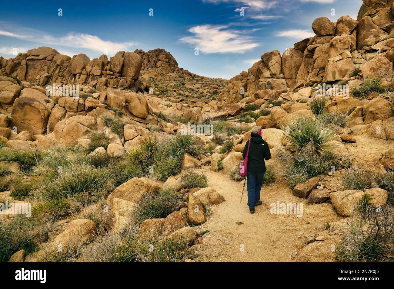 Woman walking on the track near Mastodon Peak in the eroded desert ...