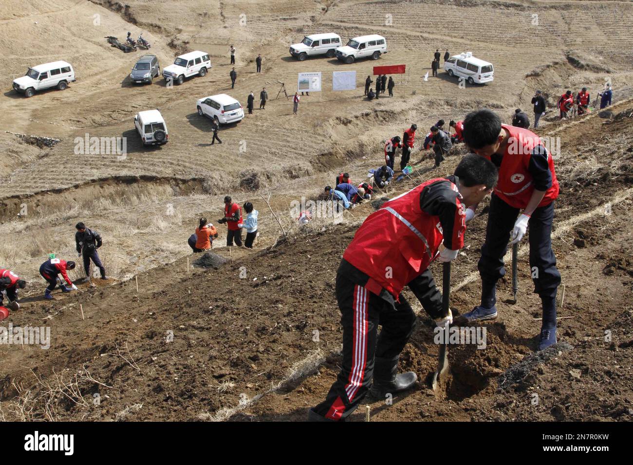 Red Cross officials and North Korean students dig holes on a mountain ...