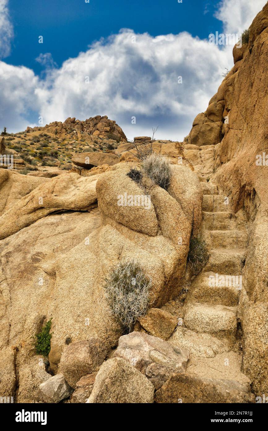 Rough-hewn steps in the eroded rocks on the walking track near Mastodon ...