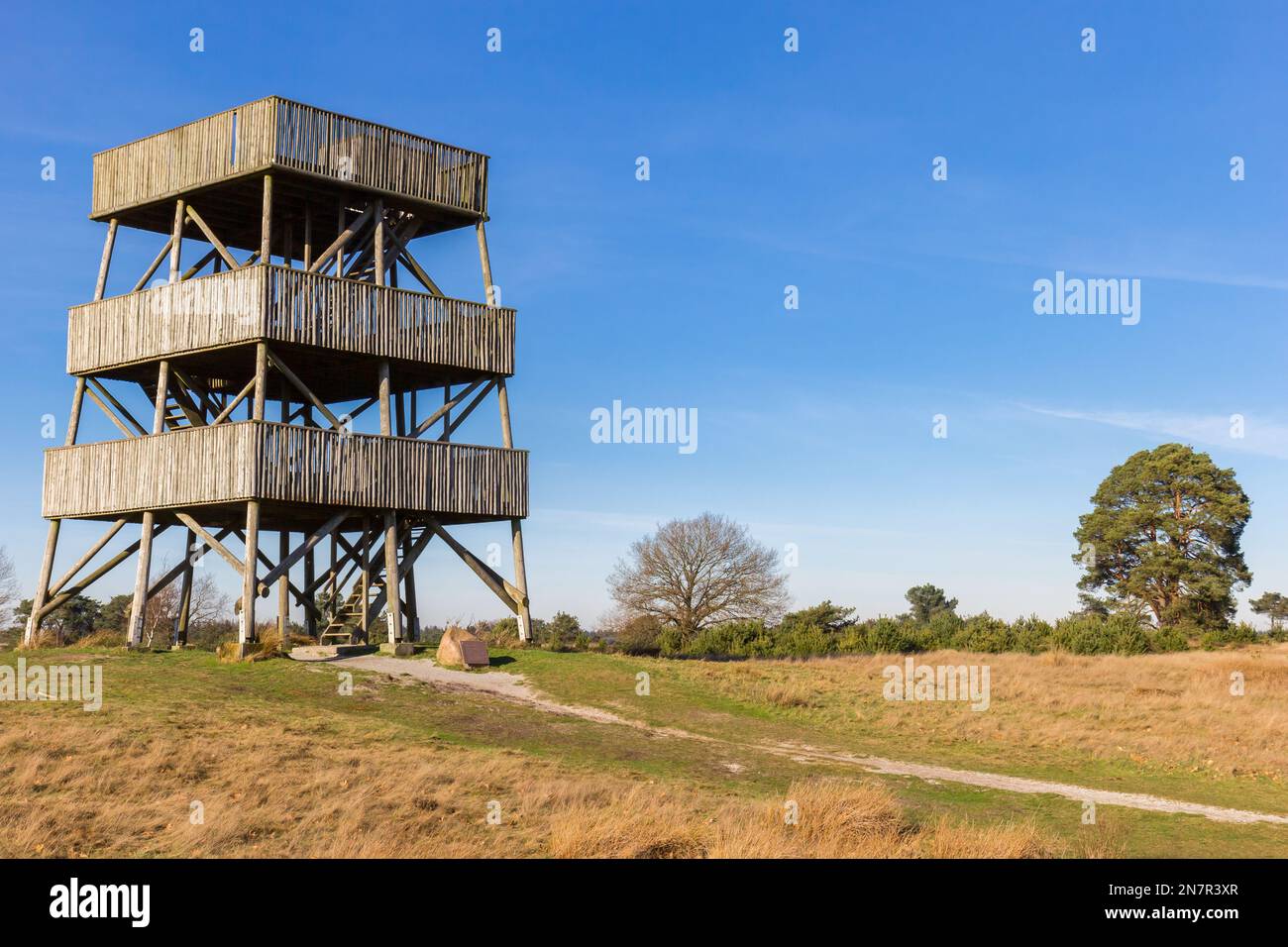 Wooden lookout tower in national park Drents Friese Wold, Netherlands ...