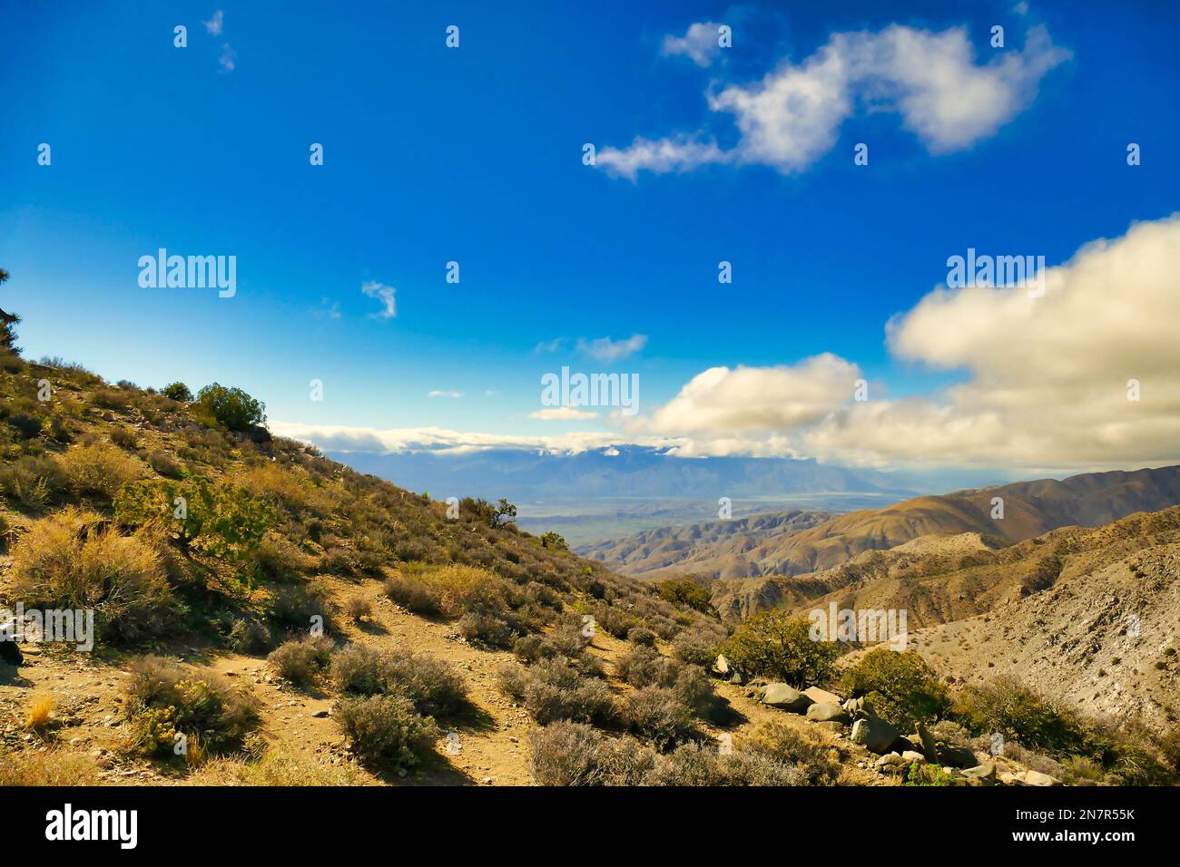 View of the southern foothills of Joshua Tree National Park, with ...