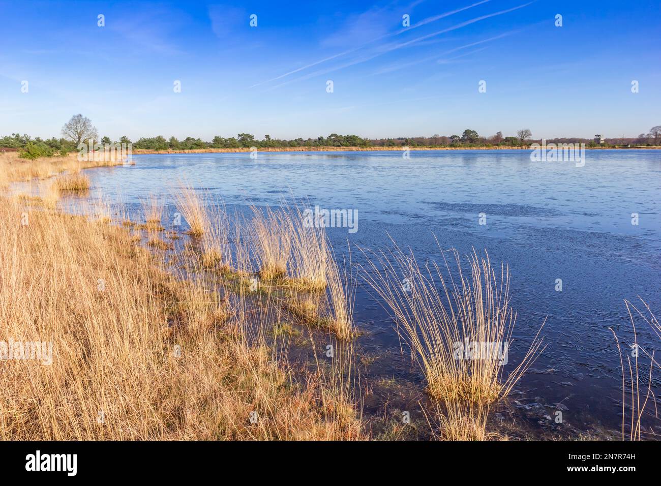 Frozen lake in the winter in Drents Friese Wold National Park ...