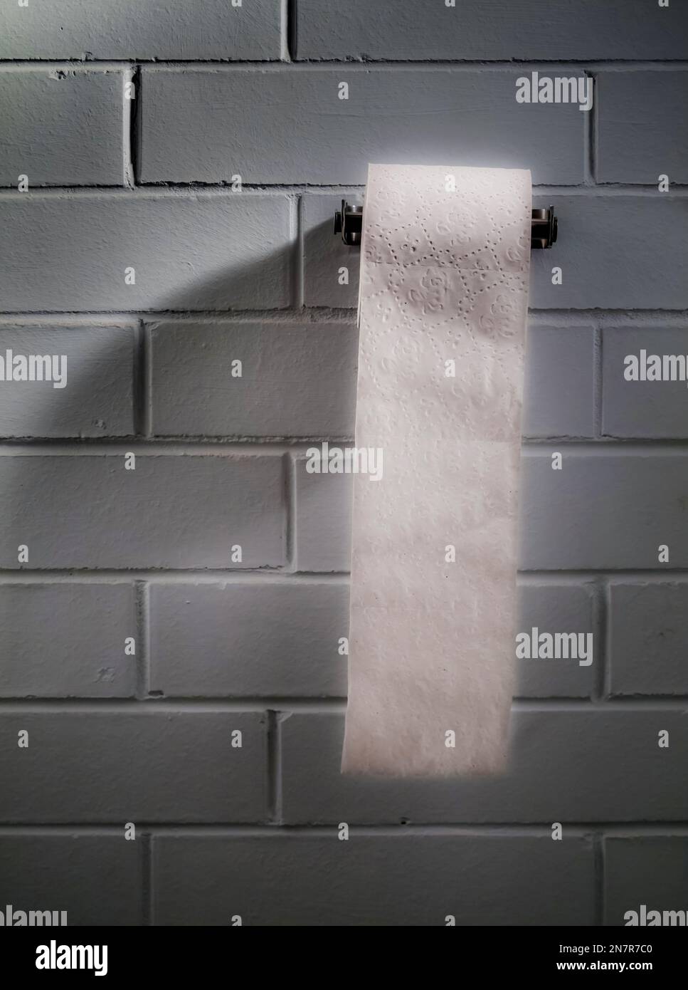 Roll of toilet paper on holder mounted on brick wall Stock Photo - Alamy