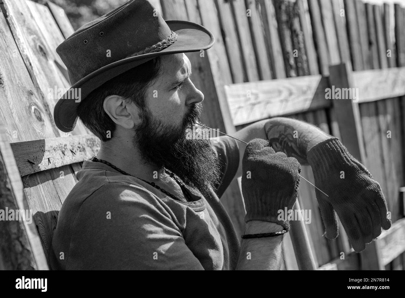 Farmer in the farm on countryside background. Farmer harvesting fresh ...