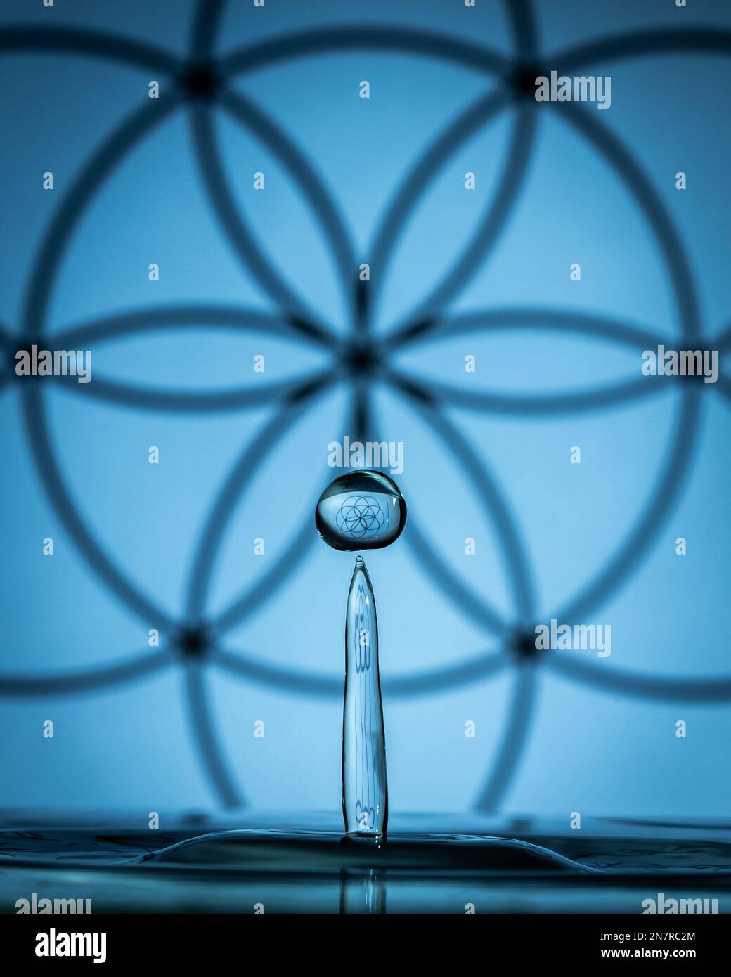 A Flower of Life in small Water drop, beautiful wallpaper Stock Photo ...