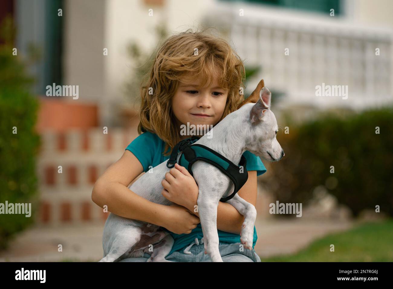 Funny child hugging beautiful puppy dog. Happy kid boy playing with dog ...