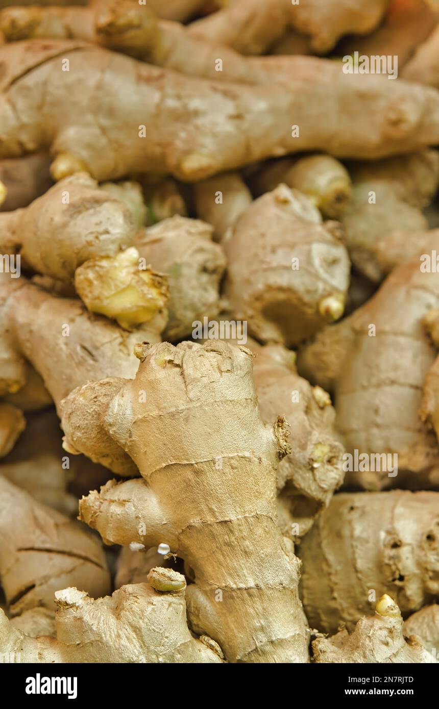 Root textures hi-res stock photography and images - Alamy