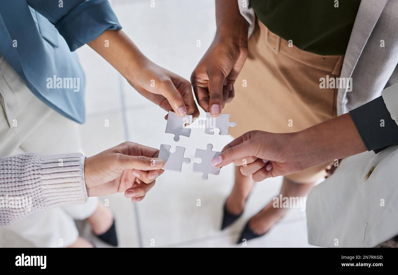 Business Partnership Puzzle