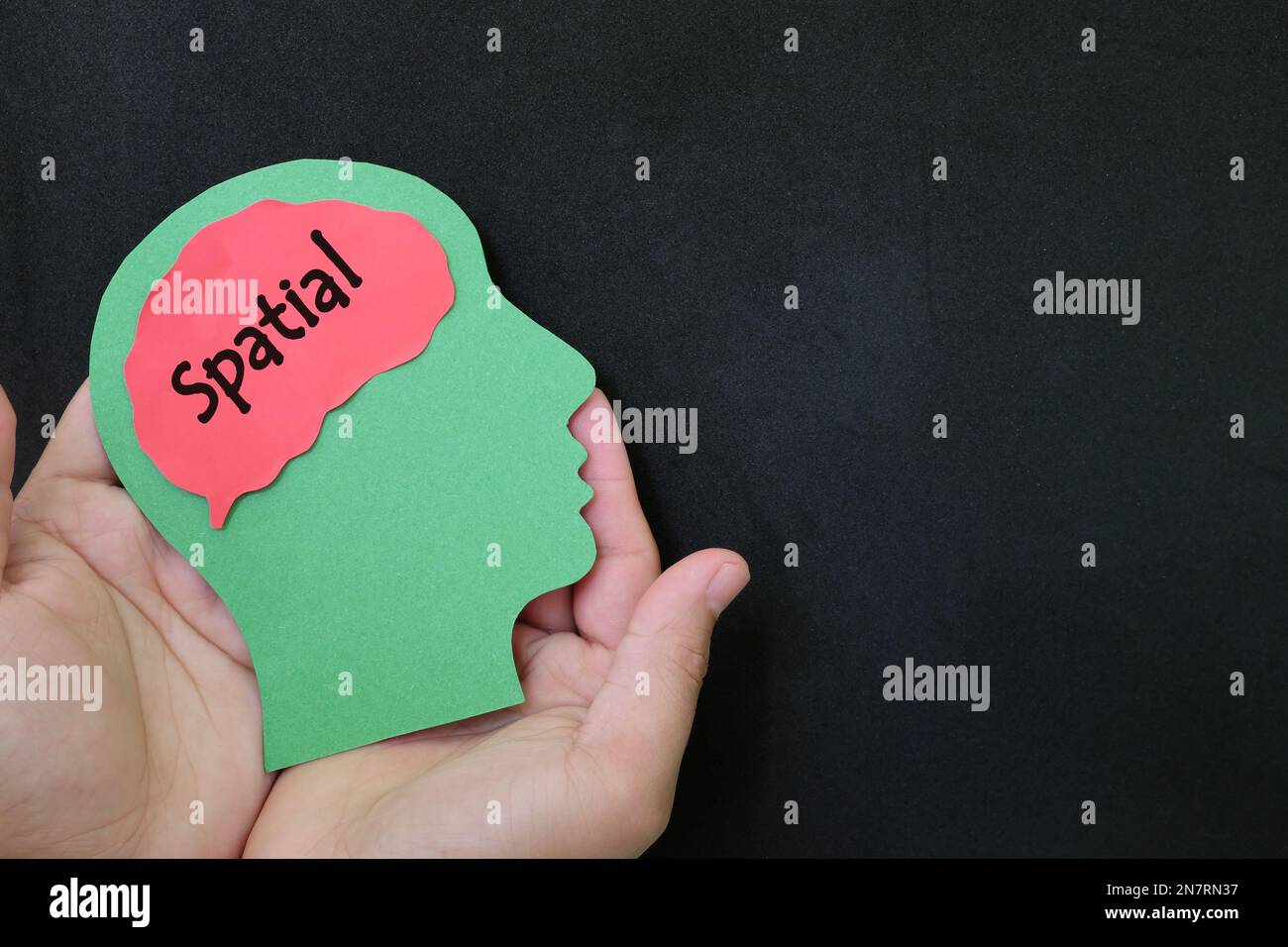 Spatial intelligence in psychology concept. Hand holding human head ...