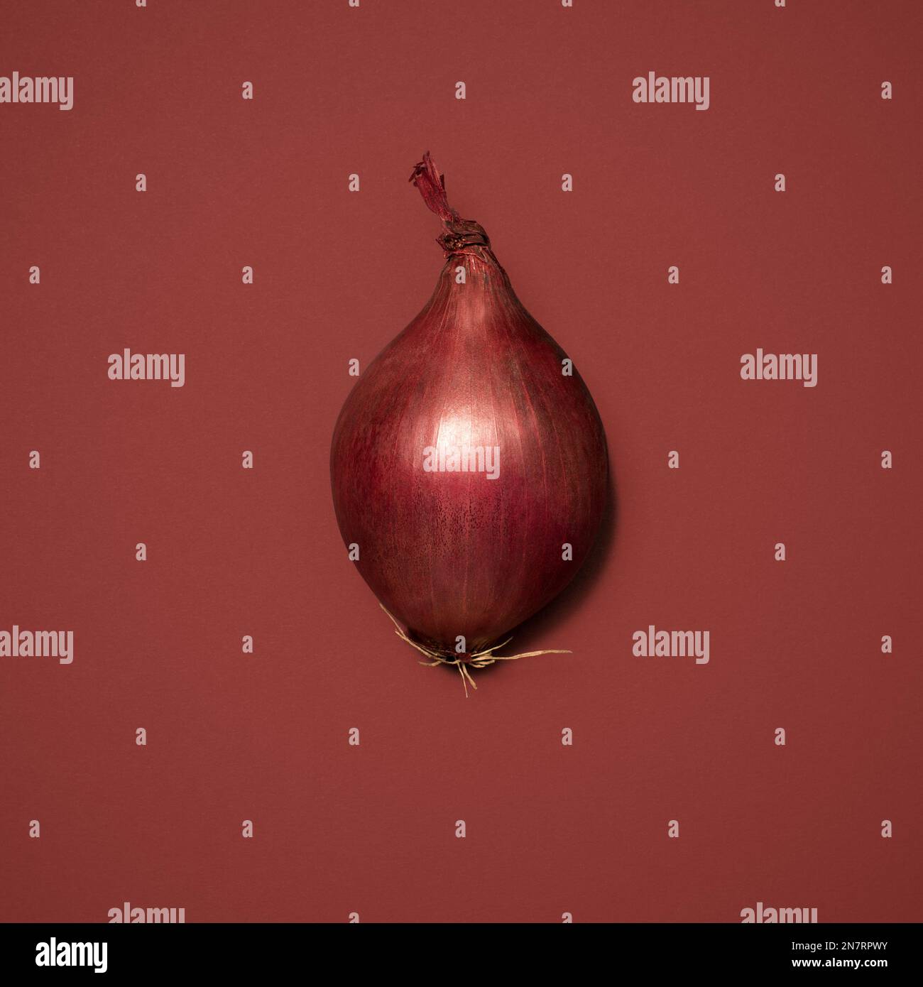 One of many varieties. a red onion against a studio background Stock ...