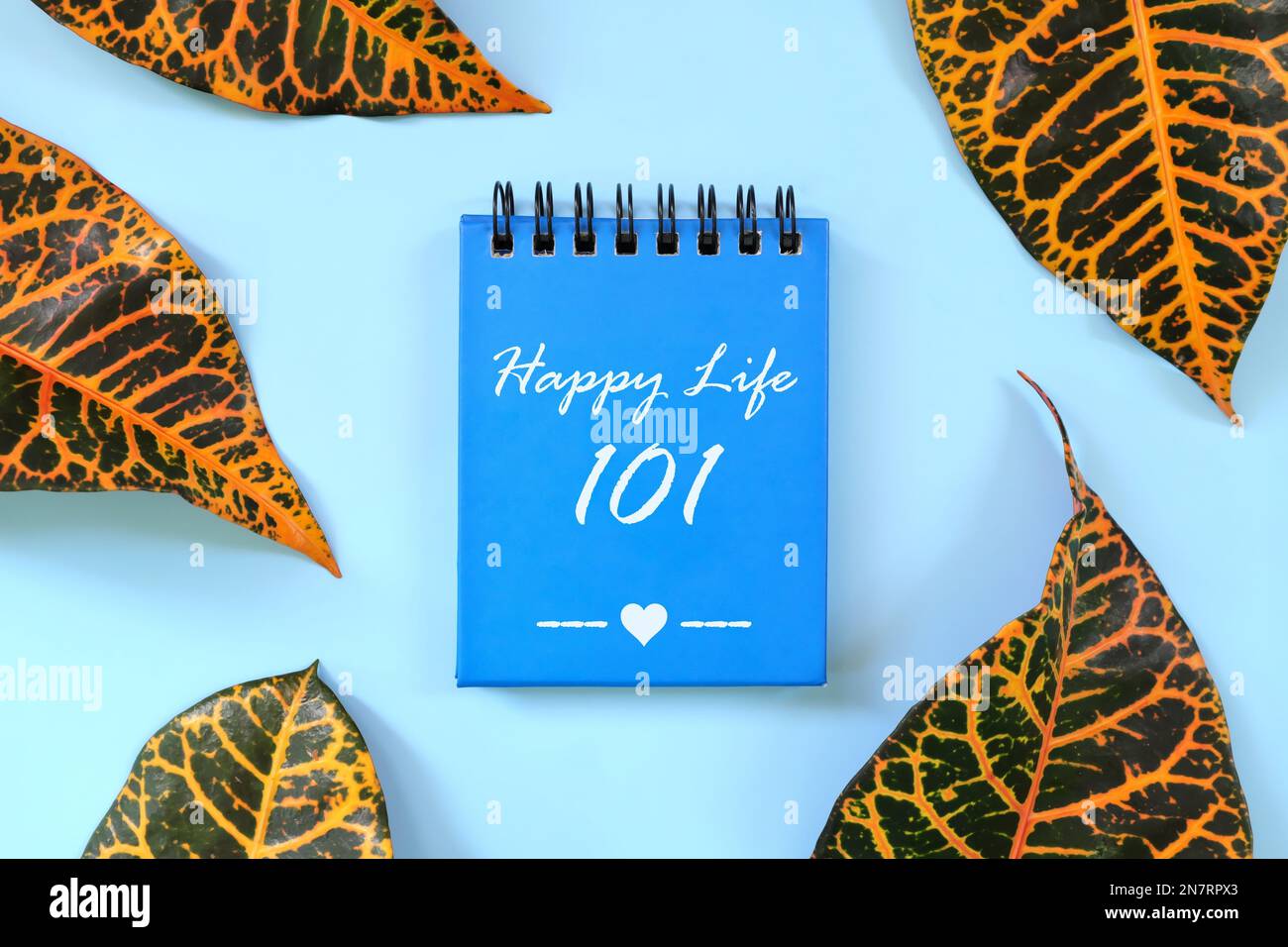 Happy life 101 motivational and inspirational guide written on blue ...