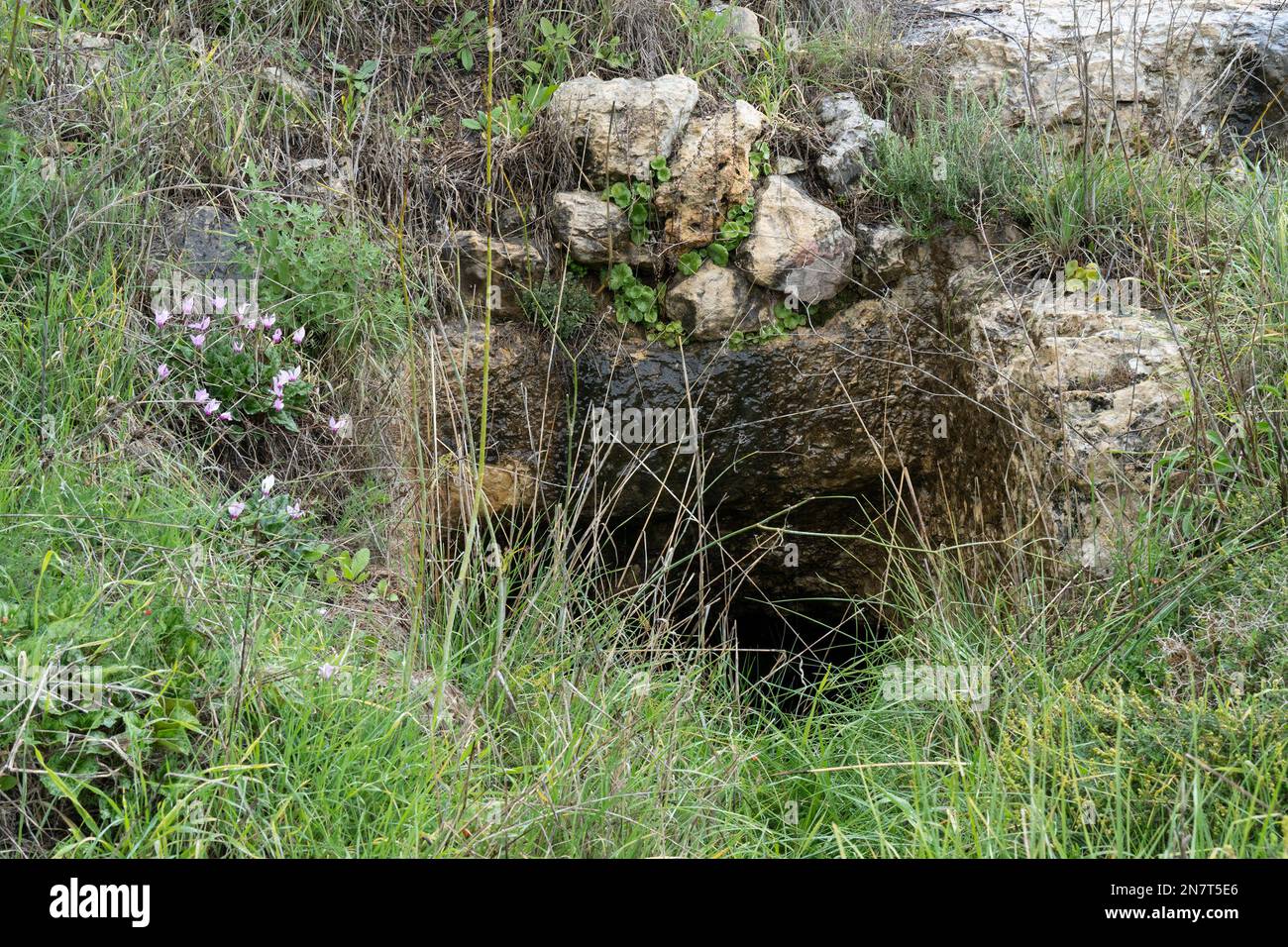The entrance of an ancient burial cave in the Judea mountains near ...