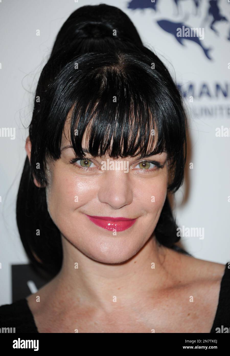 Pauley Perrette arrives at the 2013 Genesis Awards Benefit Gala at The ...