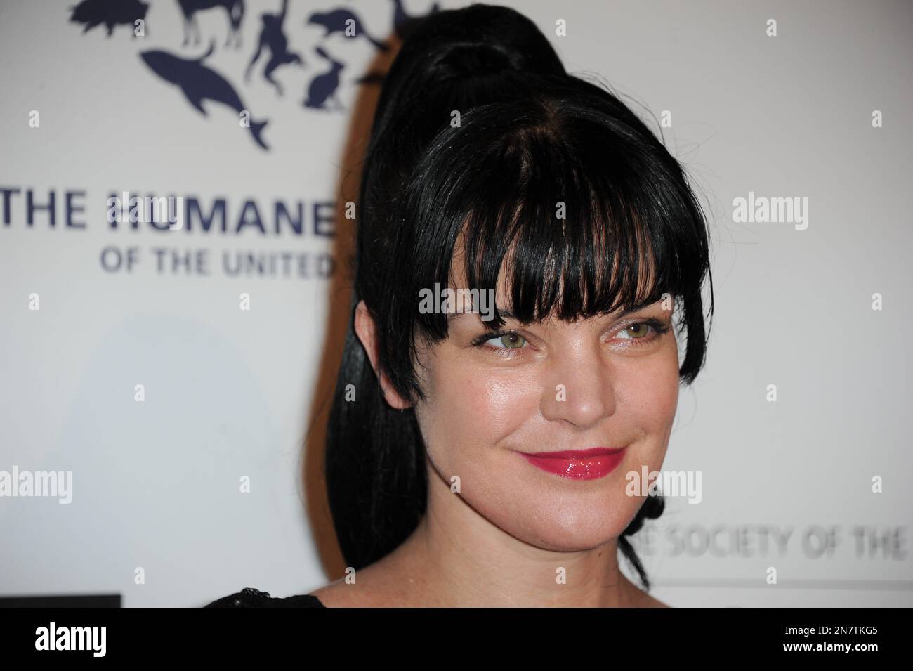 Pauley Perrette arrives at the 2013 Genesis Awards Benefit Gala at The ...