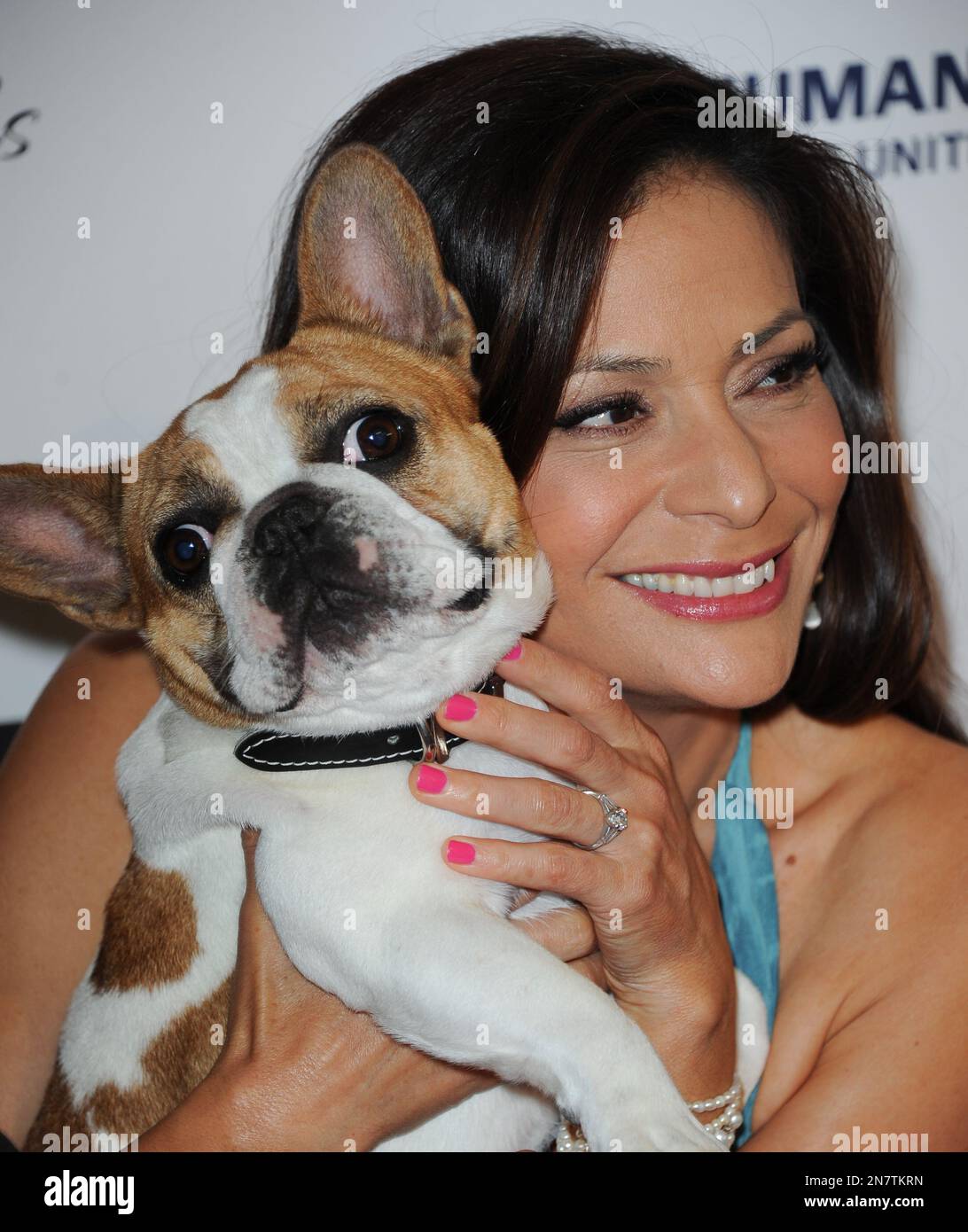 Constance Marie arrives at the 2013 Genesis Awards Benefit Gala at The ...
