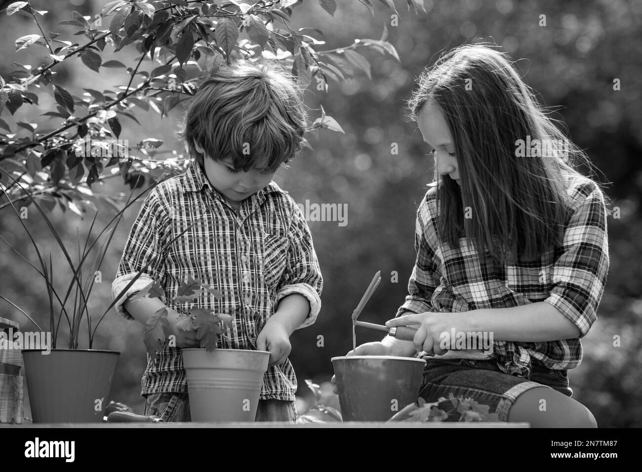 Ecology concept child. Two little Farmers children with organic ...