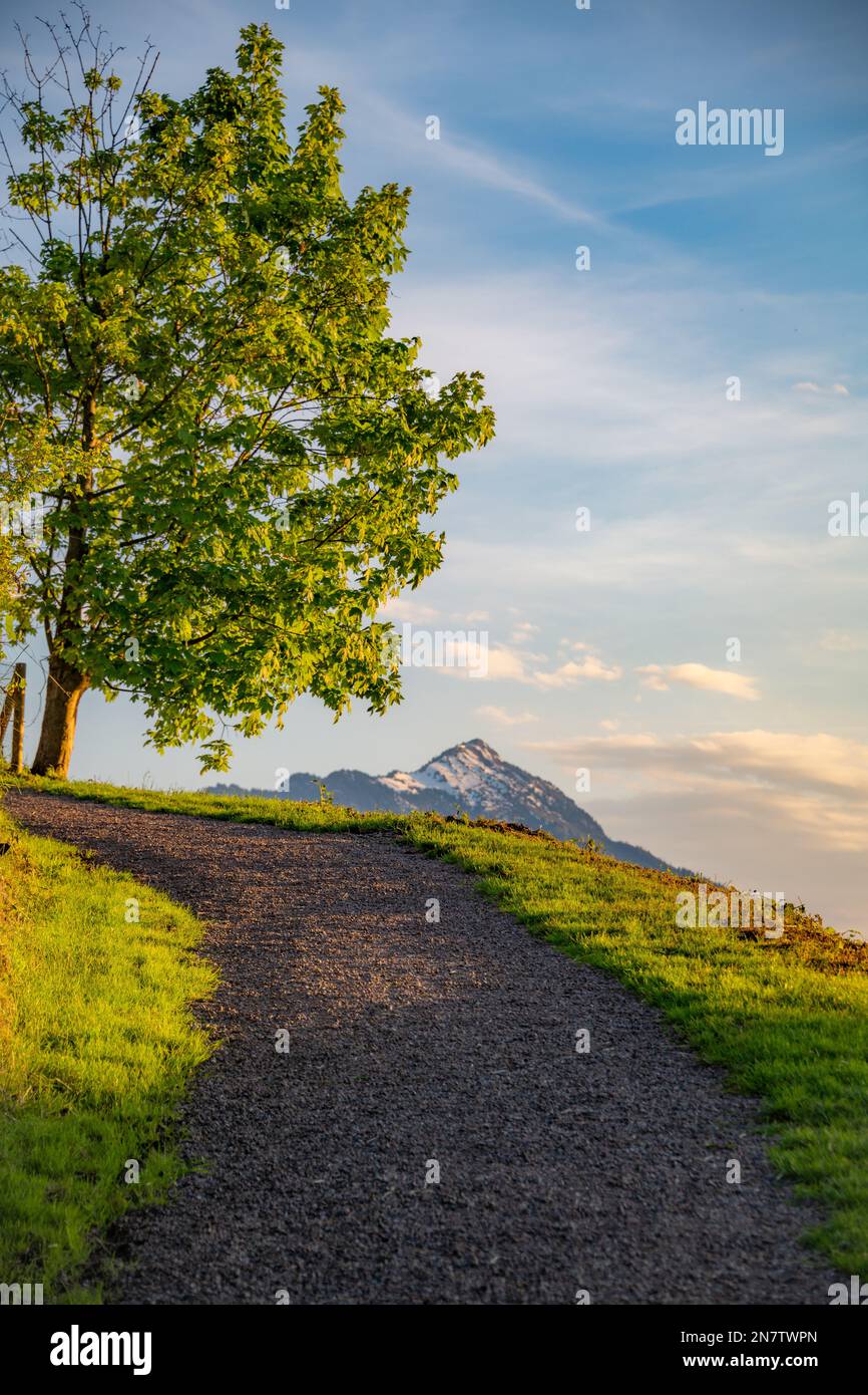 A hiking trail that leads to a panoramic viewpoint Stock Photo - Alamy