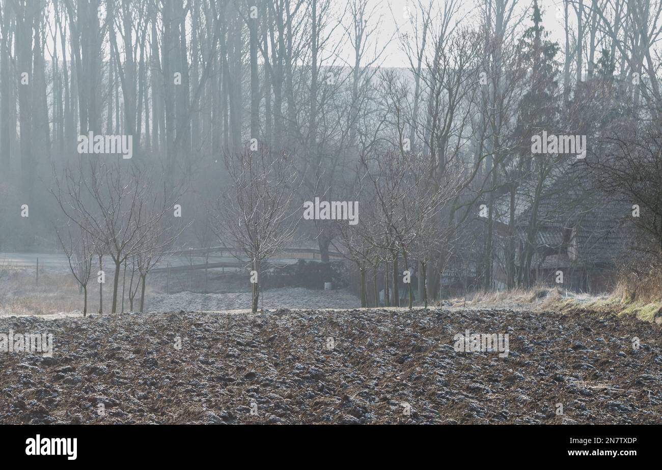 Ploughing without plough hi-res stock photography and images - Alamy
