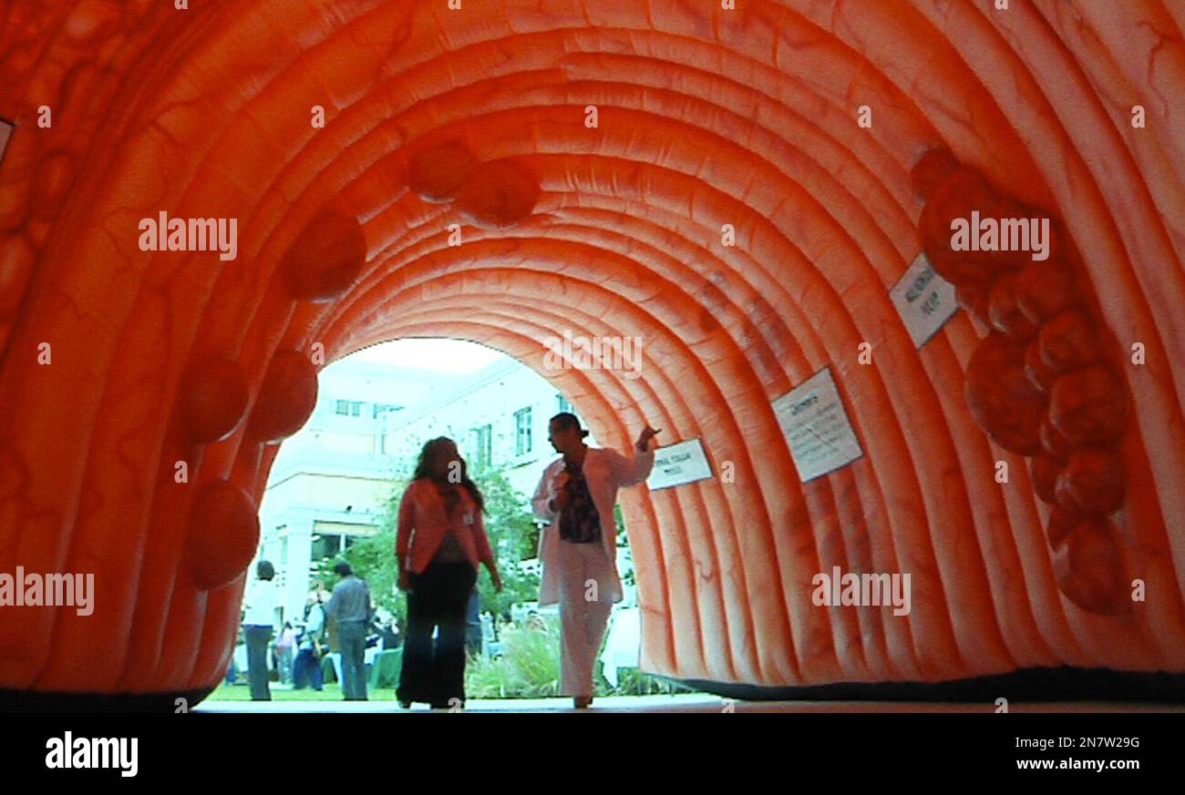 A Sylvester Comprehensive Cancer Center employee gives a tour inside a ...