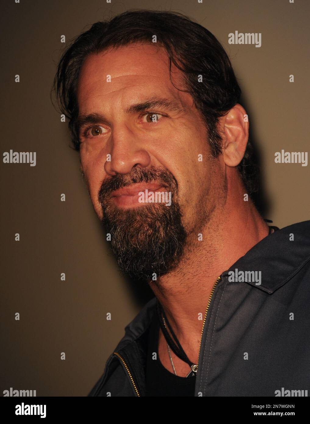 Matthew Willig arrives at the LA premiere of "A Resurrection" at the ...