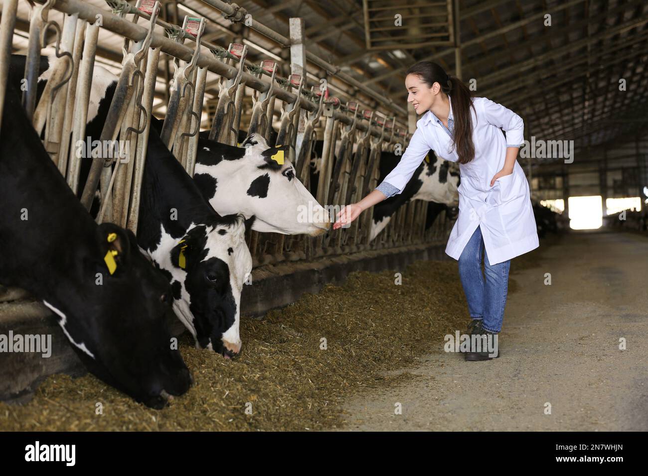 Doctor country woman house hi-res stock photography and images - Alamy