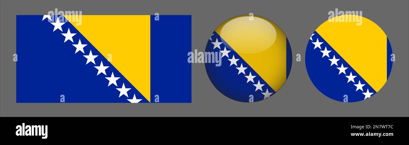 Bosnia and Herzegovina Flag set collection Vector Stock Vector Image ...