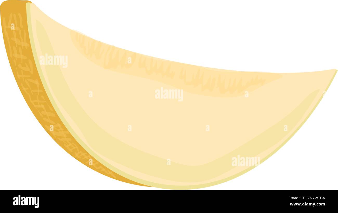 Delicious piece melon on Stock Vector Images - Alamy