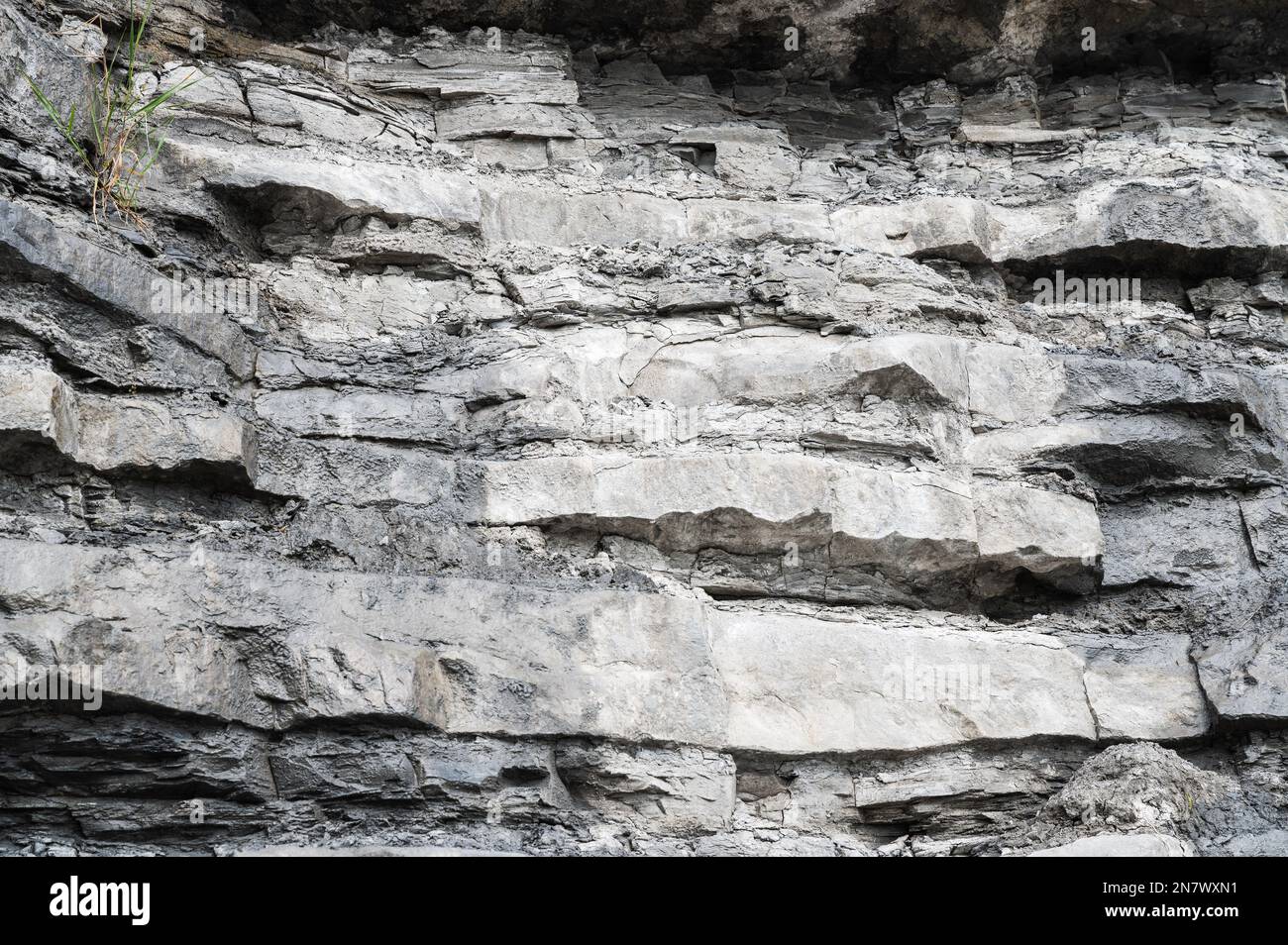 Fossil dorset historical hi-res stock photography and images - Alamy