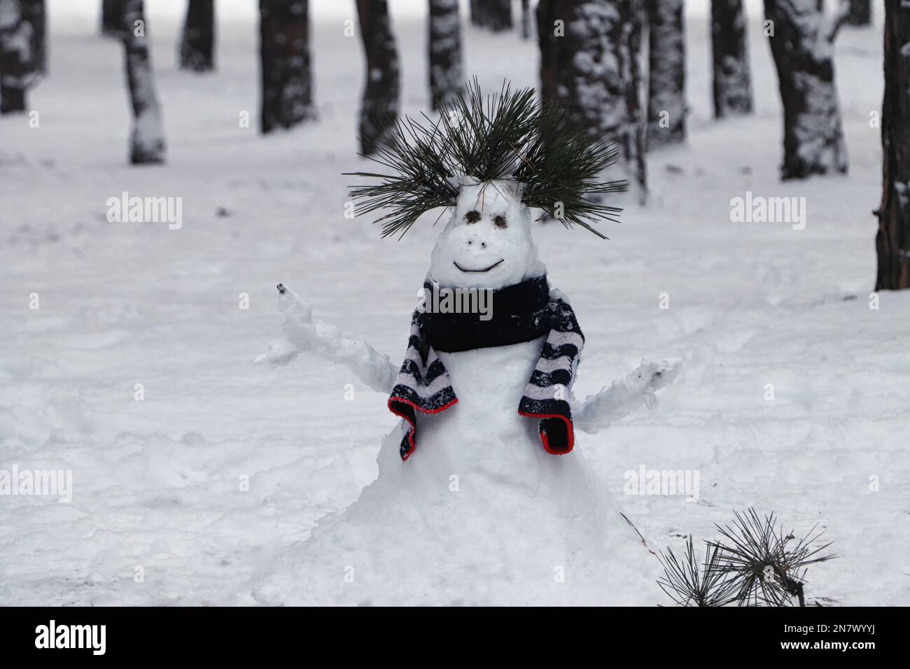 Smiley face in the winter hi-res stock photography and images - Alamy