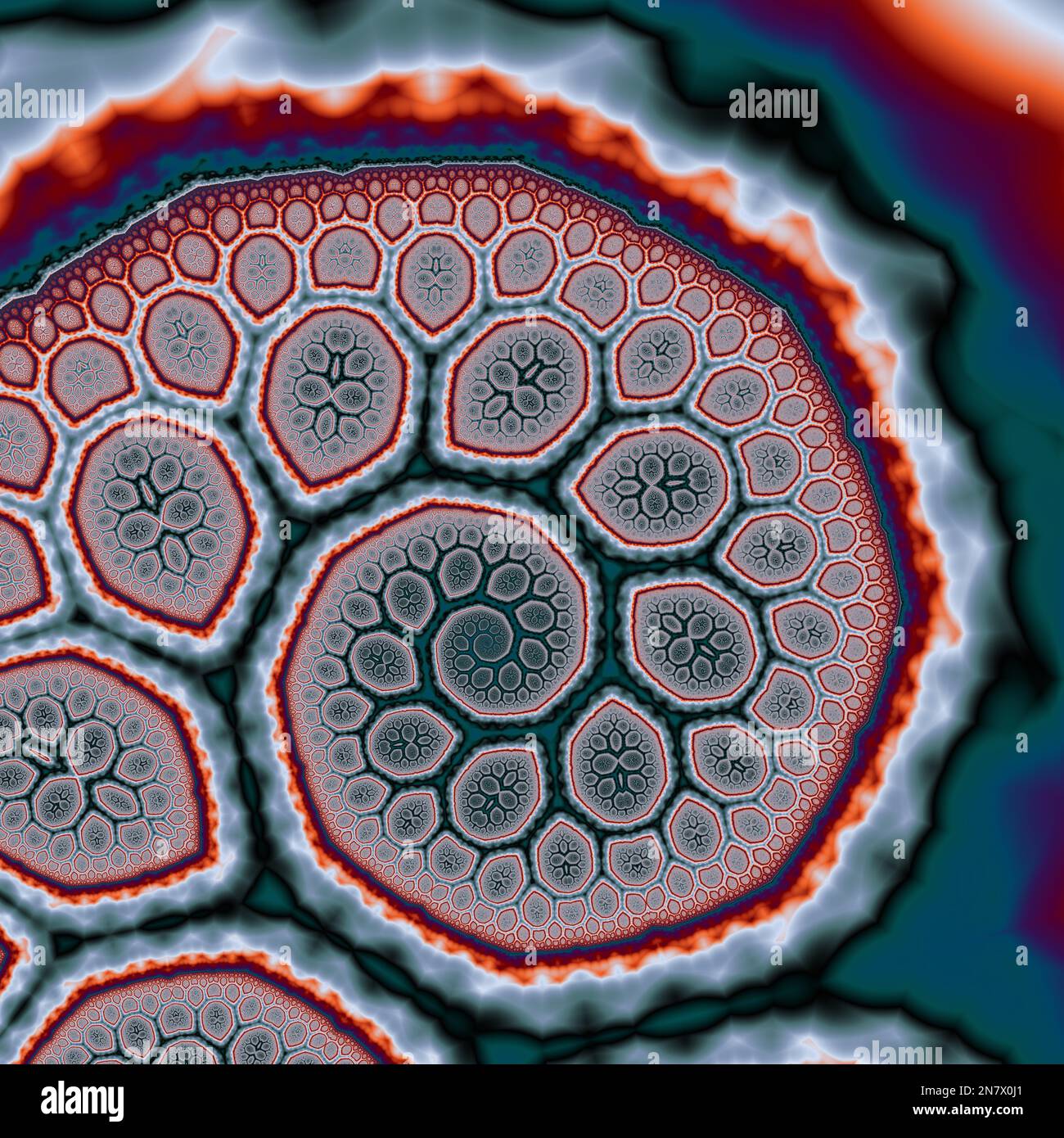 Fractal complex zoom - Mandelbrot set detail, digital artwork for ...