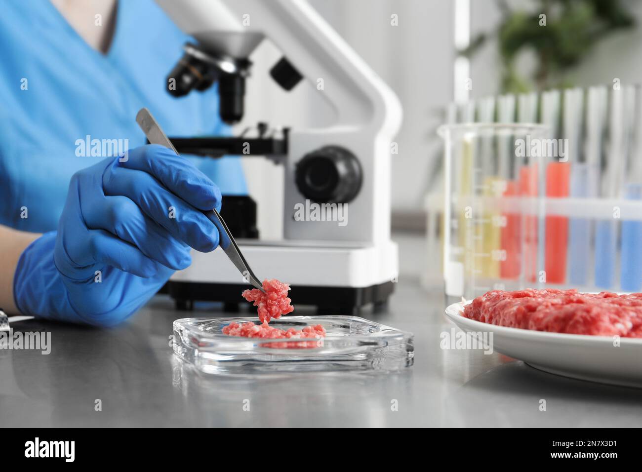 Scientist checking meat at table in laboratory, closeup. Quality ...