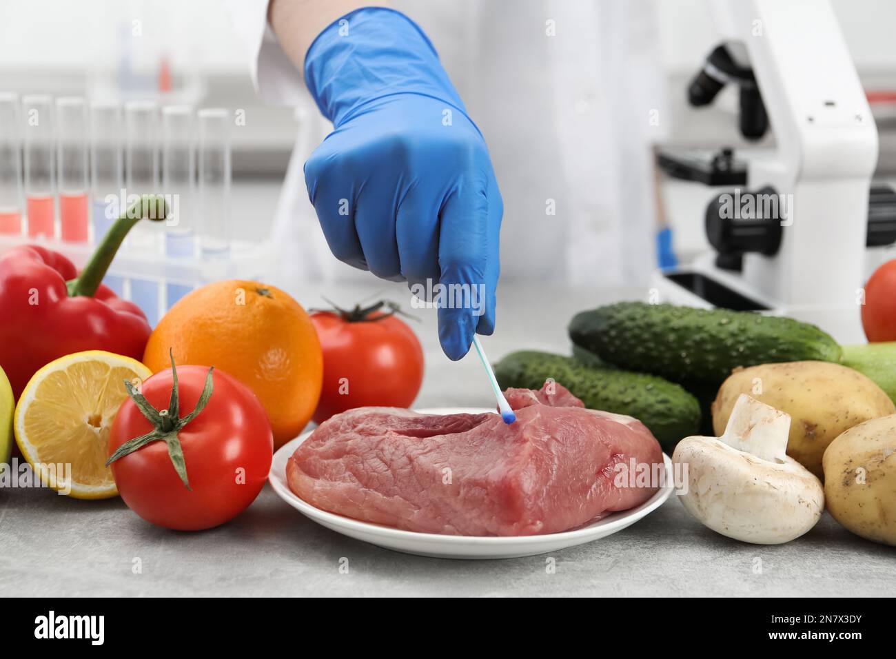 Scientist checking meat at table in laboratory, closeup. Quality ...