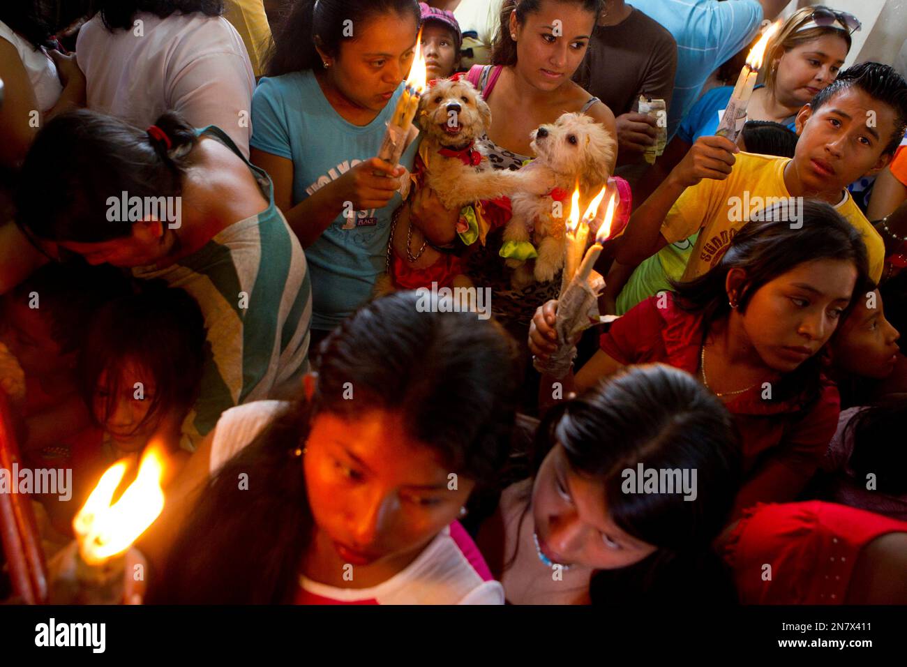 Women carry their dogs wearing costumes in honor of Saint Lazarus ...
