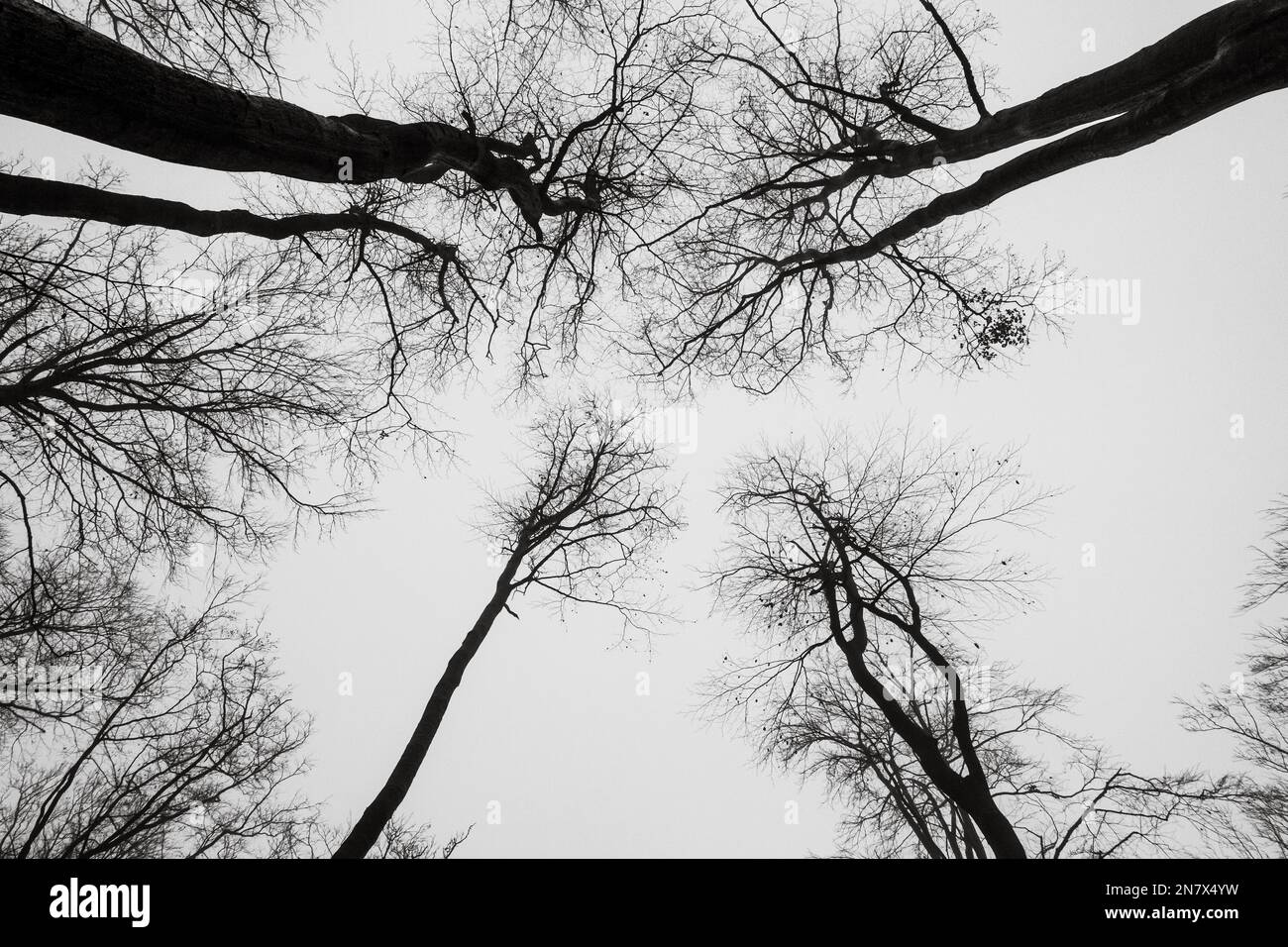 Gloomy autumn weather hi-res stock photography and images - Alamy