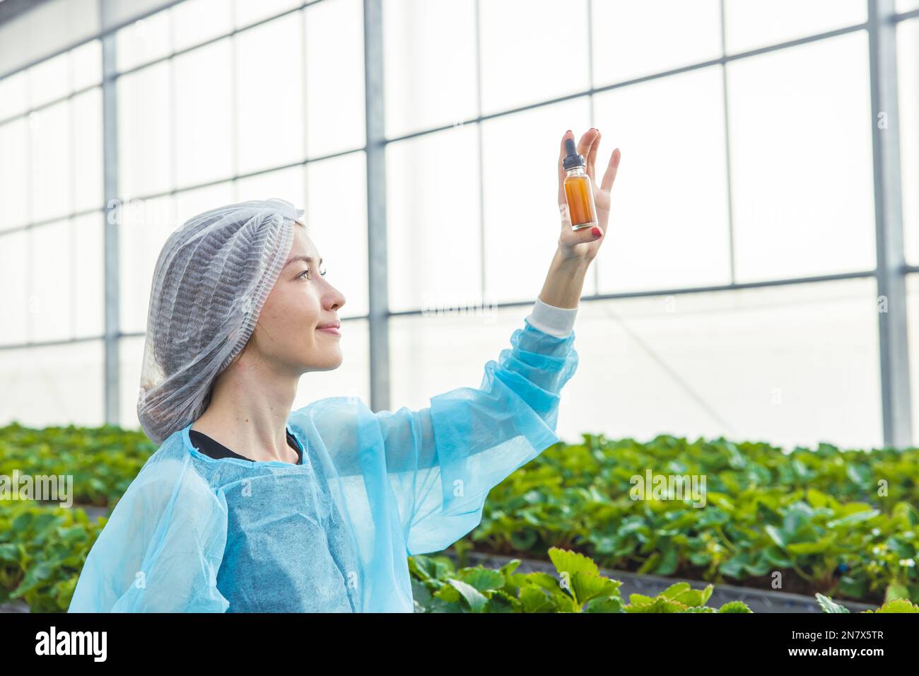 scientist working in organic agriculture farm research new chemical ...