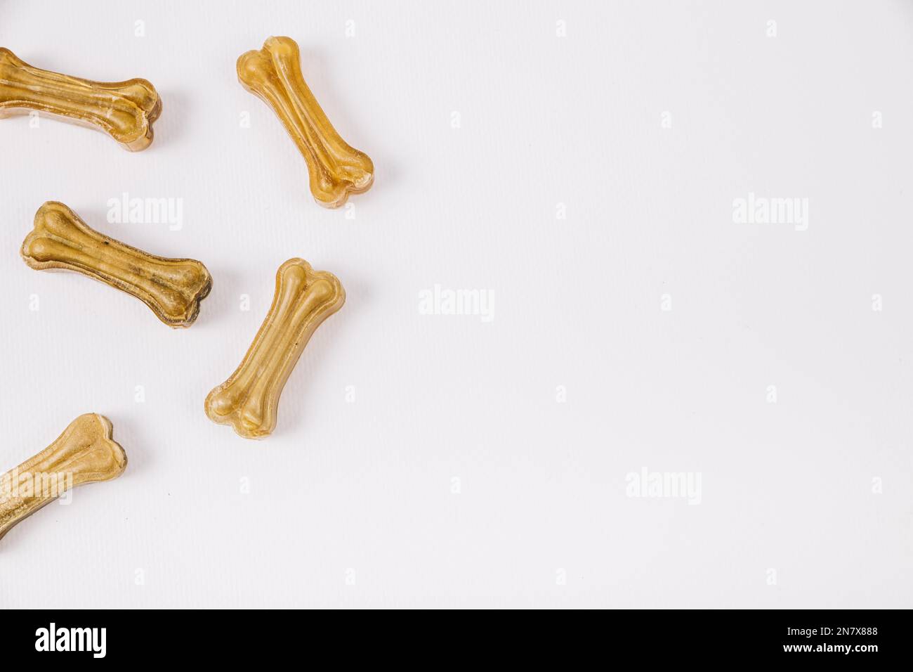 Chewing bones hi-res stock photography and images - Alamy