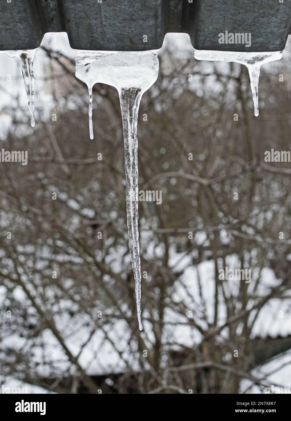 Icicles of various shapes hang from the metal roof. Selective focus ...