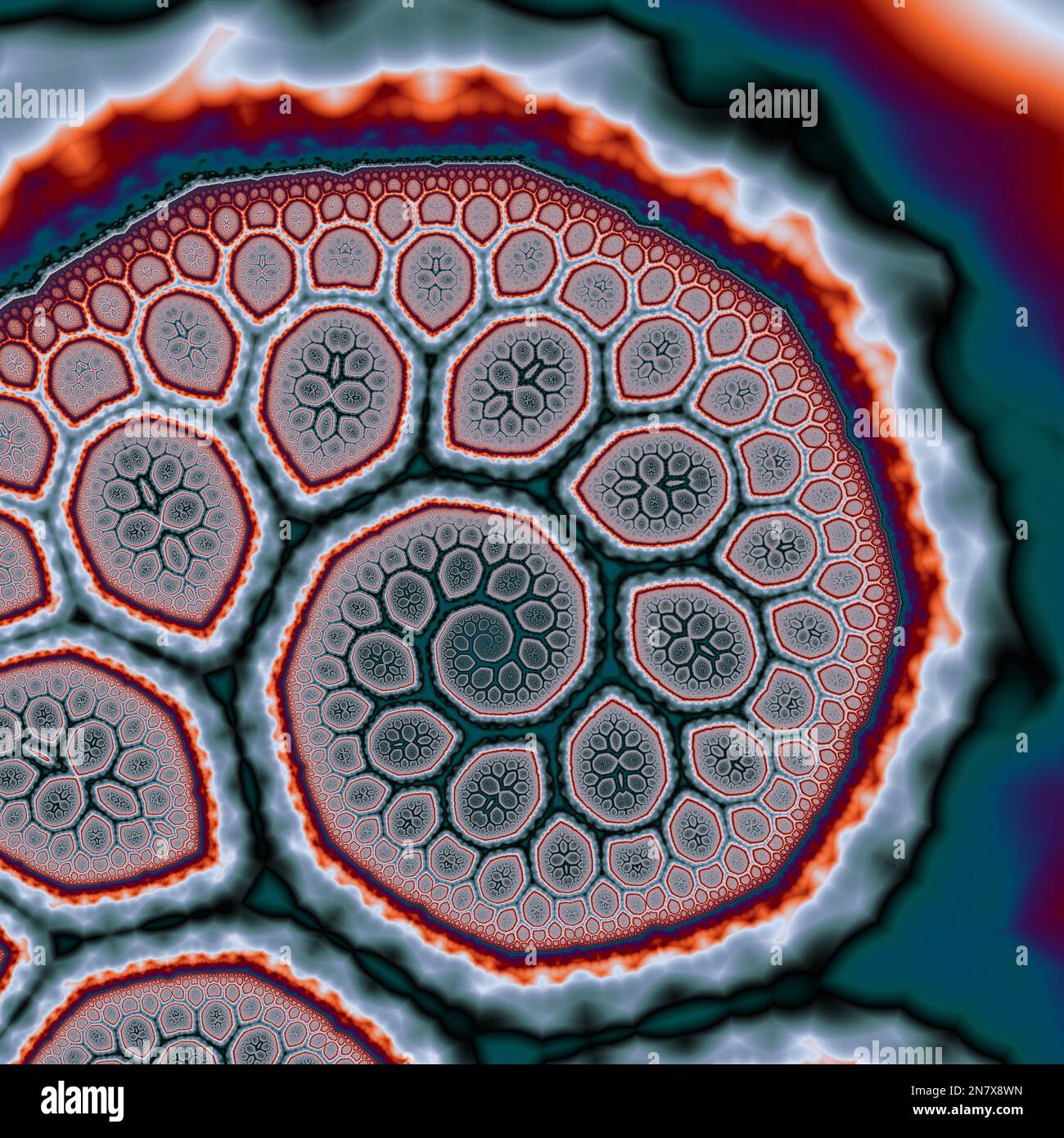 Fractal complex zoom - Mandelbrot set detail, digital artwork for ...