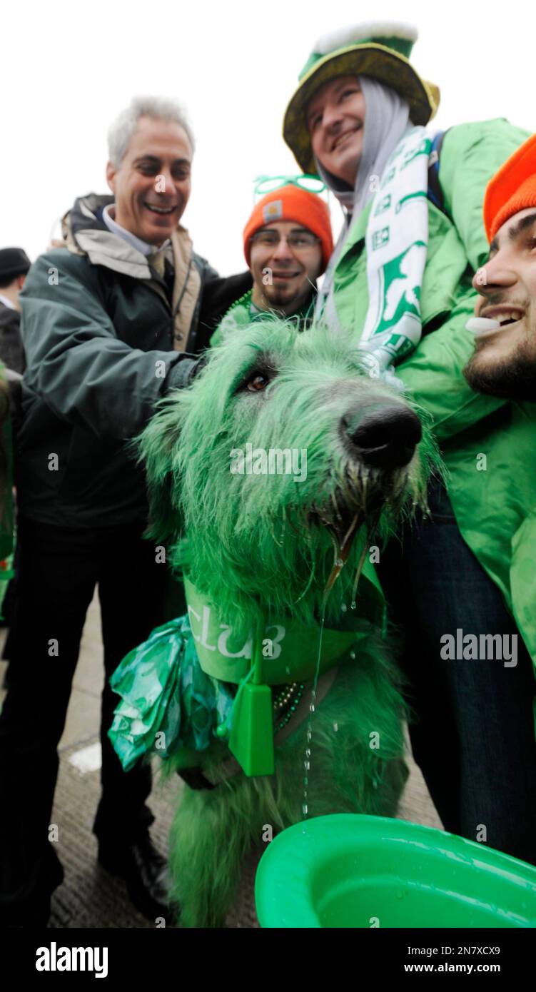 Chicago Mayor Rahm Emanuel left, poses for a photo with "Shamrock" the ...