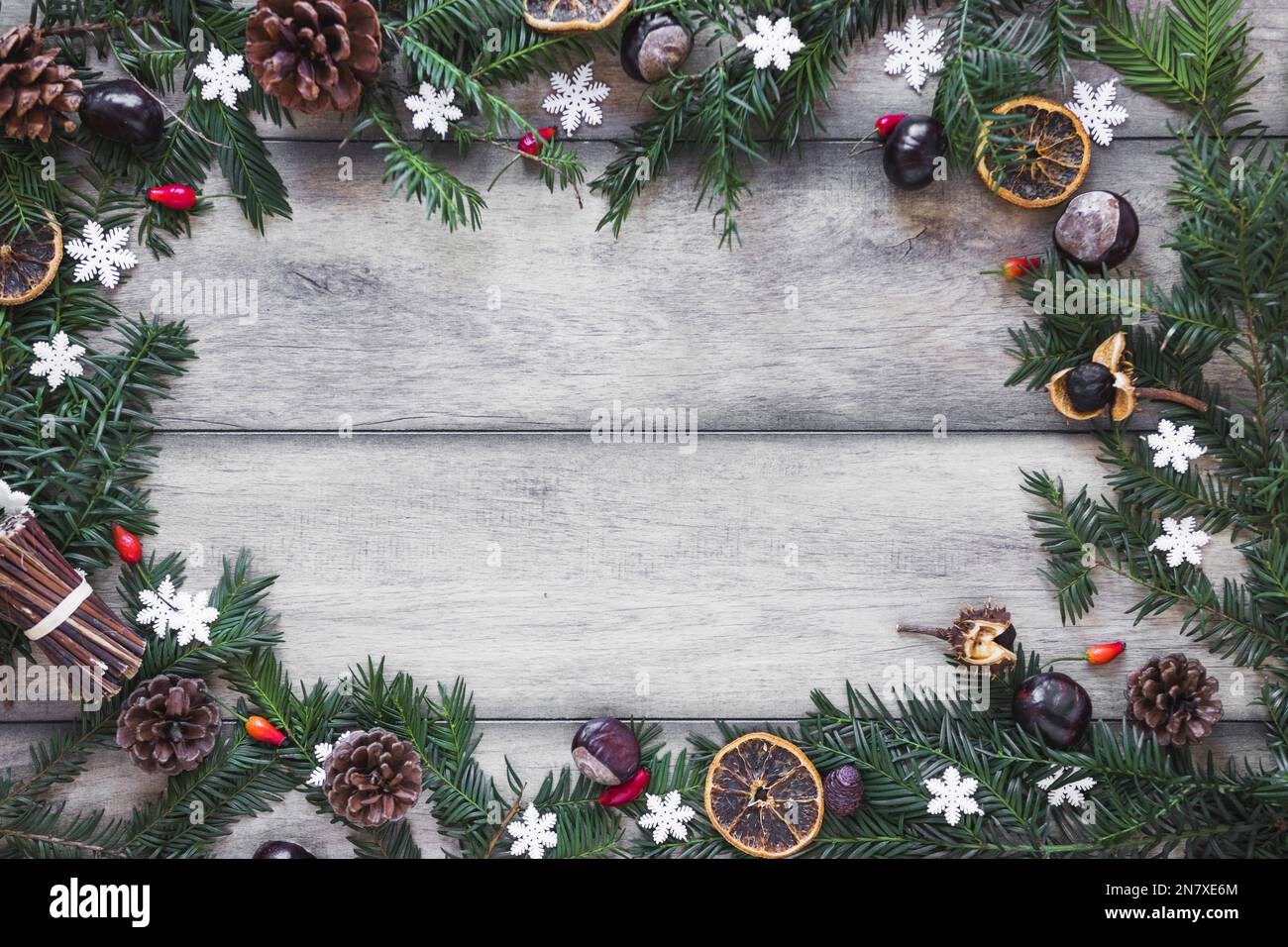 Conifer border hi-res stock photography and images - Alamy