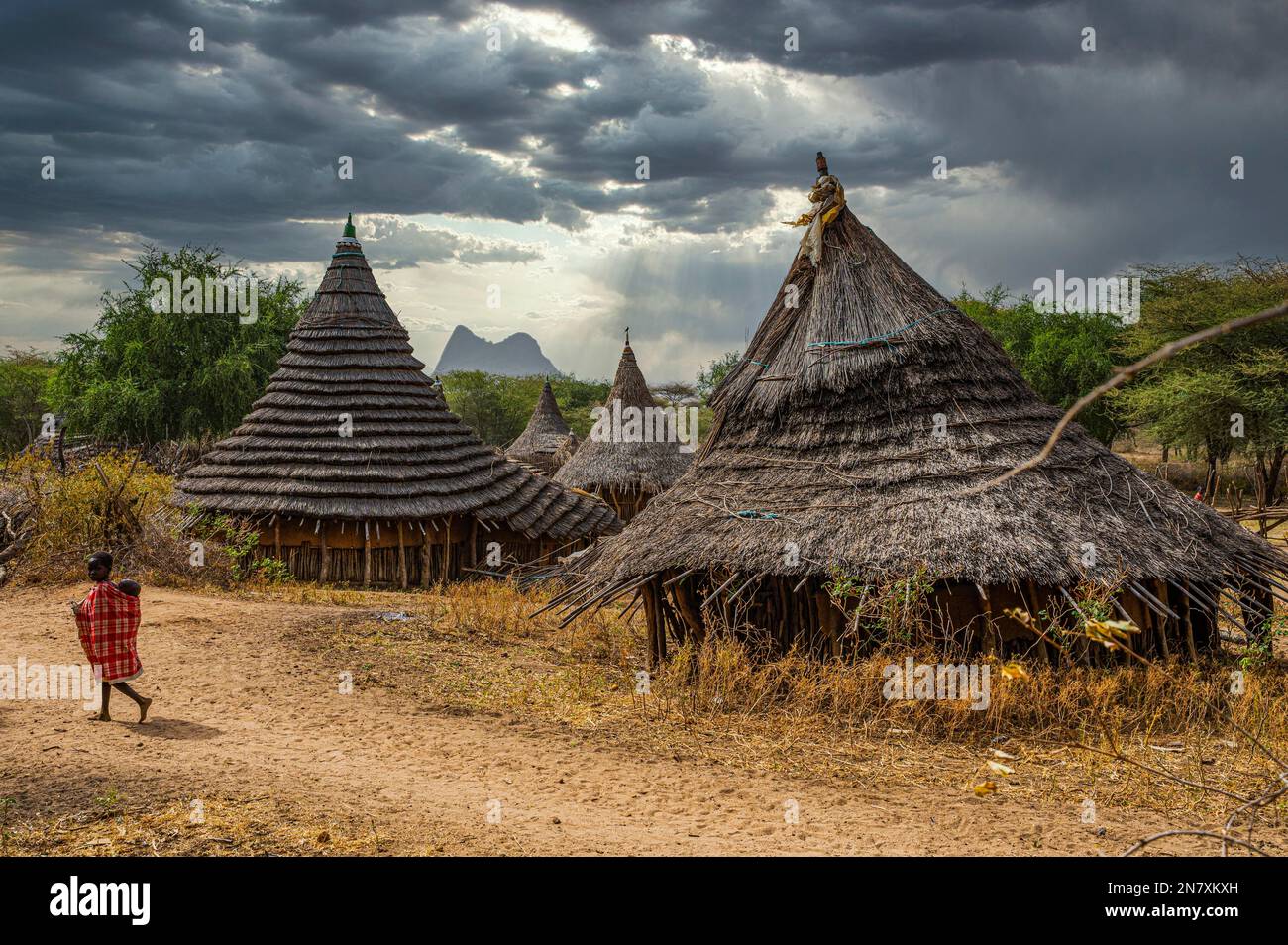 Traditionally built huts of the Laarim tribe, Boya hills, Eastern ...