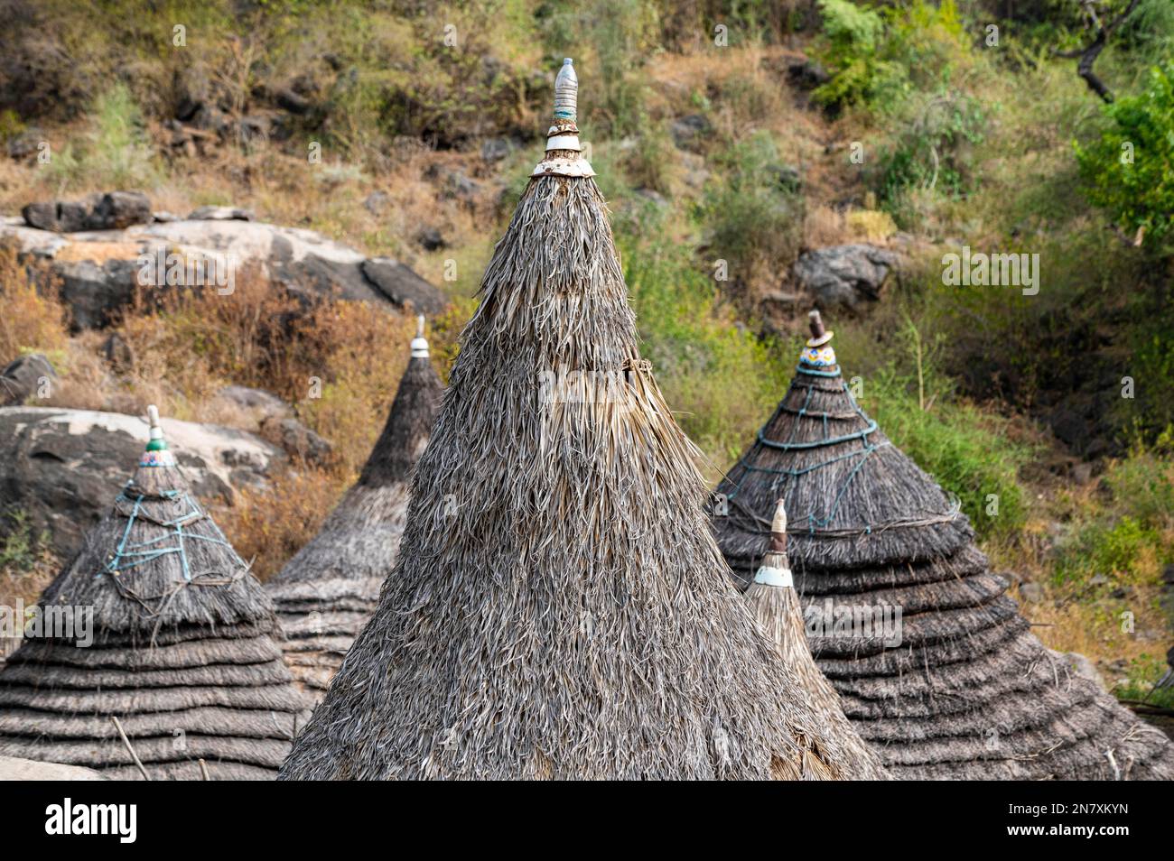 Traditionally built huts of the Laarim tribe, Boya hills, Eastern ...