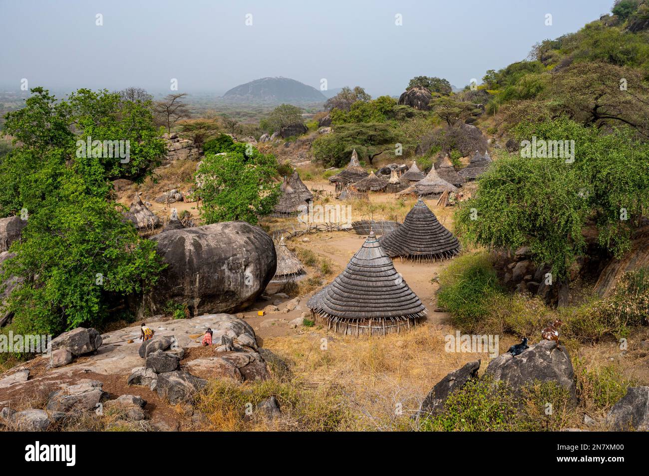 Traditionally built huts of the Laarim tribe, Boya hills, Eastern ...