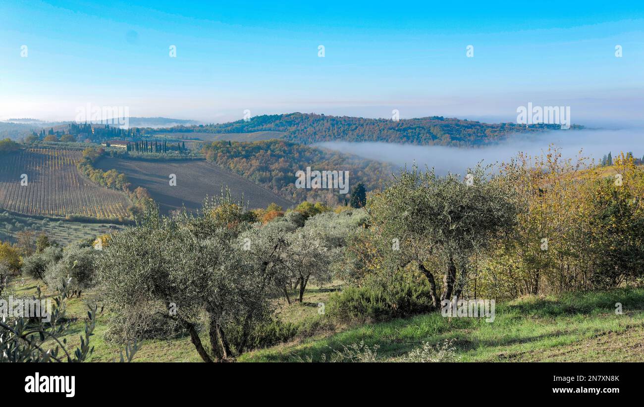 Chianti road and village, italy Stock Photo - Alamy
