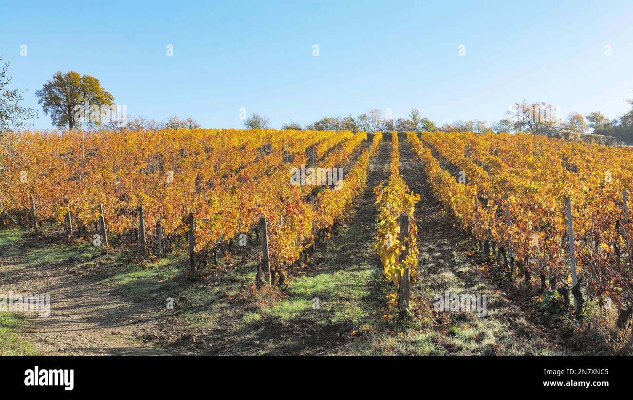Chianti road hi-res stock photography and images - Alamy